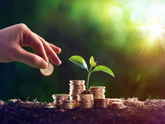 Get A Brief Idea About The SBI Life Money Back Plan - HNR