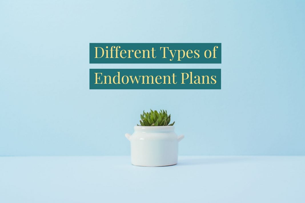 What Is Endowment Policy & The Types Of Endowment Policy - HNR